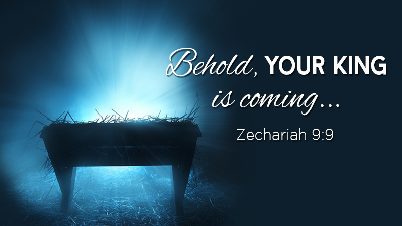 Behold! Your King is Coming – Susan Cady